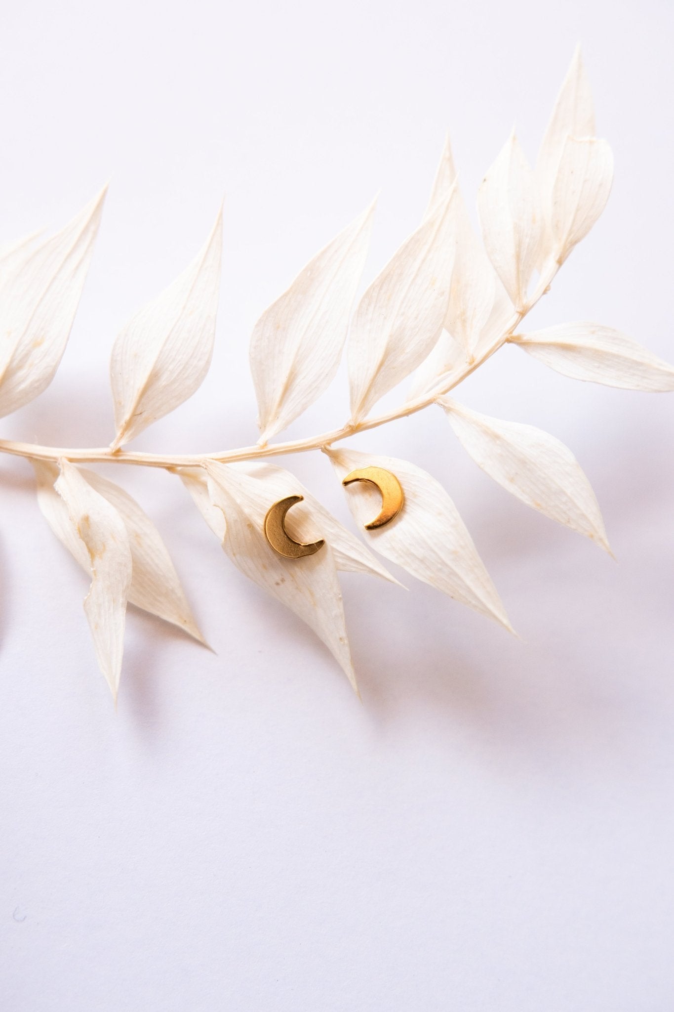 Stud Set – Tree Myriah